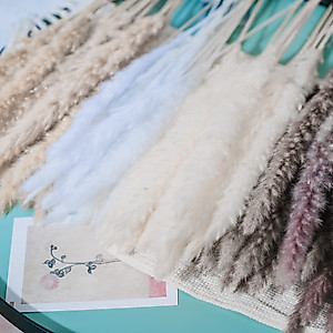 MnS Glam 75 Pc Natural Dried Pampas Grass-25 Pc Cream White Pampas/ 30 Pc Brown Pampass/ 20 Pc Beige Pompus Reed Grass 17.5" Fluffy Stems Dry Pompous Bouquets for Home Decor Wedding Flower Arrangement