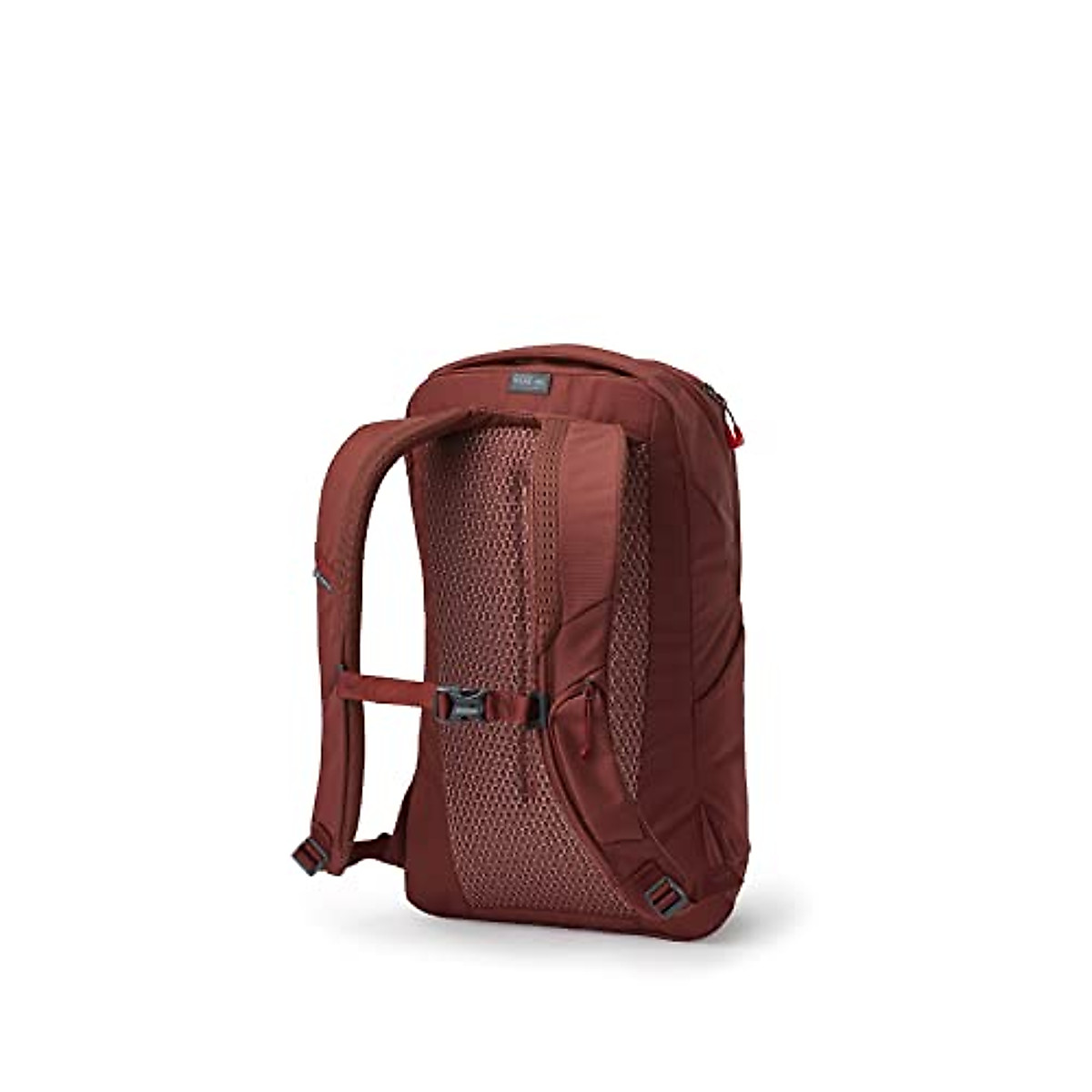 Gregory Mountain Products Rhune 20 Everyday Backpack