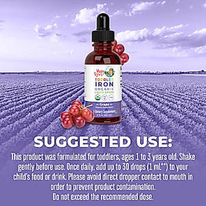 MaryRuth Organics Iron Supplement for Toddlers | Liquid Iron Supplement for Children Ages 1-3 | Iron Supplement for Iron Deficiency | Ferrochel | Sugar Free | Vegan | Non-GMO | Gluten Free | 2 Fl Oz