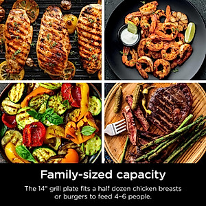 Ninja GR100 Sizzle Smokeless Indoor Grill with Nonstick Grill Plate, Dishwasher-Safe Removable Mesh Lid, 500F Max Heat, Even Edge-to-Edge Cooking, Black (Renewed)