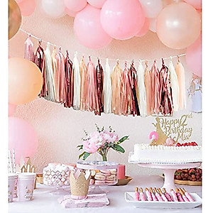 Rose Gold Tissue Paper Tassels Garland Banner for Party Birthday Wedding Decoration Baby Shower Table Decor (20 Pcs)