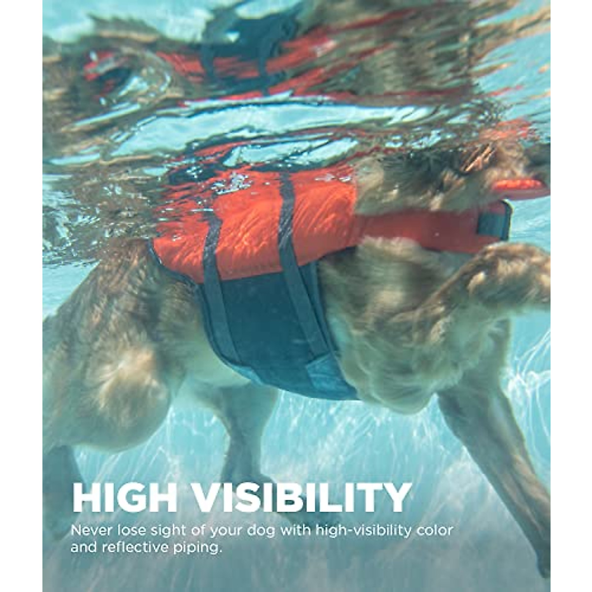 Outward Hound Granby Splash Orange Dog Life Jacket, Medium