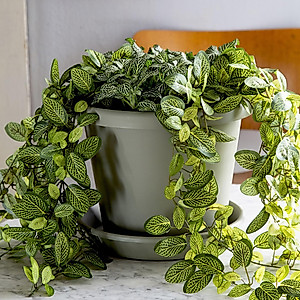 The HC Companies 14 Inch Round Classic Planter - Plastic Plant Pot for Indoor Outdoor Plants Flowers Herbs, Clay Color