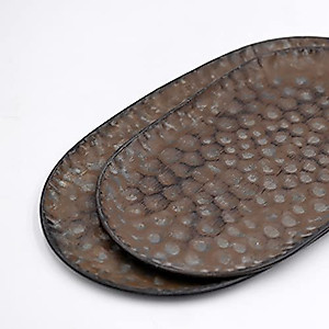 Funerom 13 x7.5 inch Galvanized Metal Tray Oval Tray Farmhouse Serving Tray