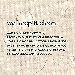 Honest Beauty Pollution Solution Purifying Toner with Zinc PCA | Alcohol-free Toner + EWG Certified + Vegan + Cruelty free | 4 fl. oz.