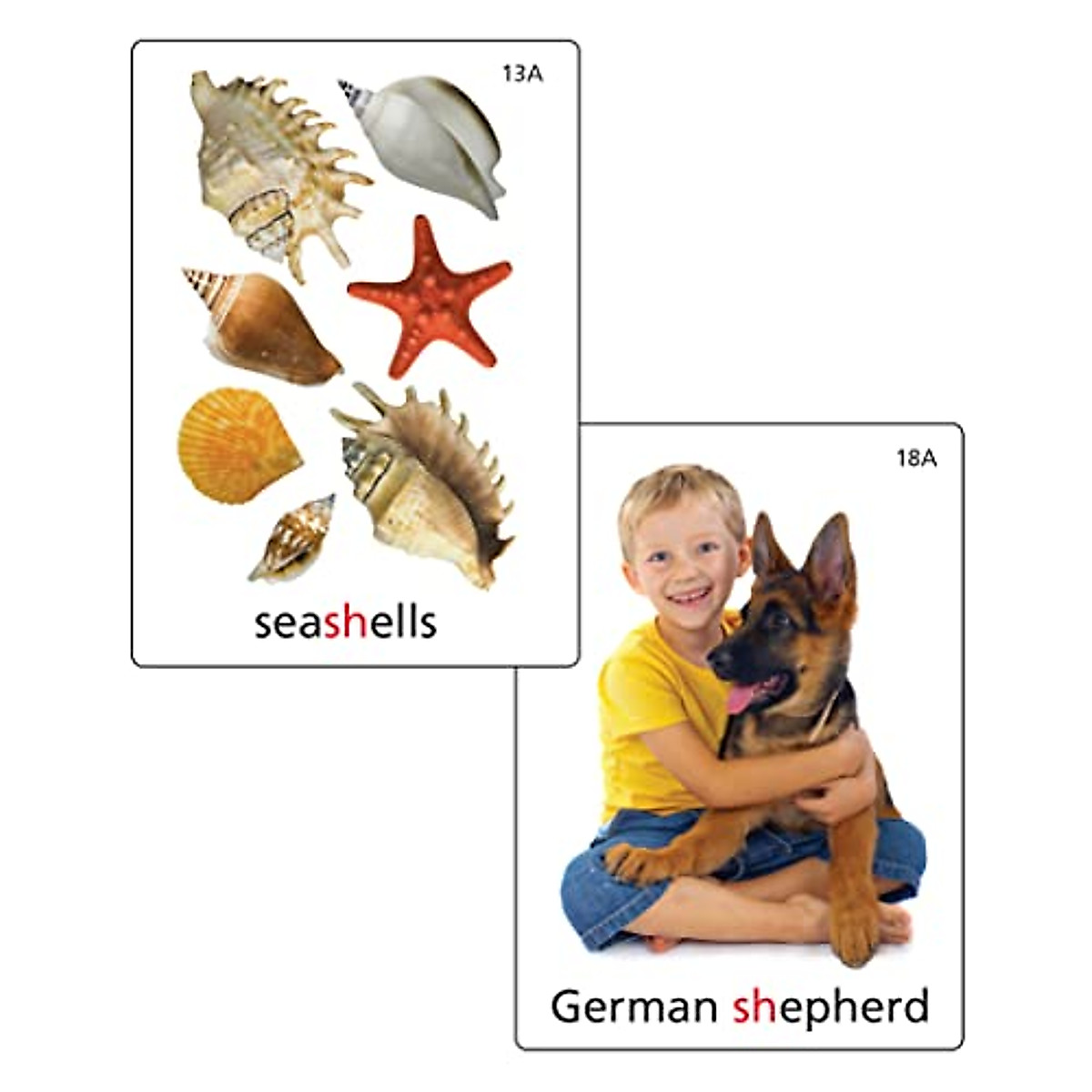 Super Duper Publications | Articulation Photos SH Sound Fun Deck Flash Cards | Educational Learning Resource for Children
