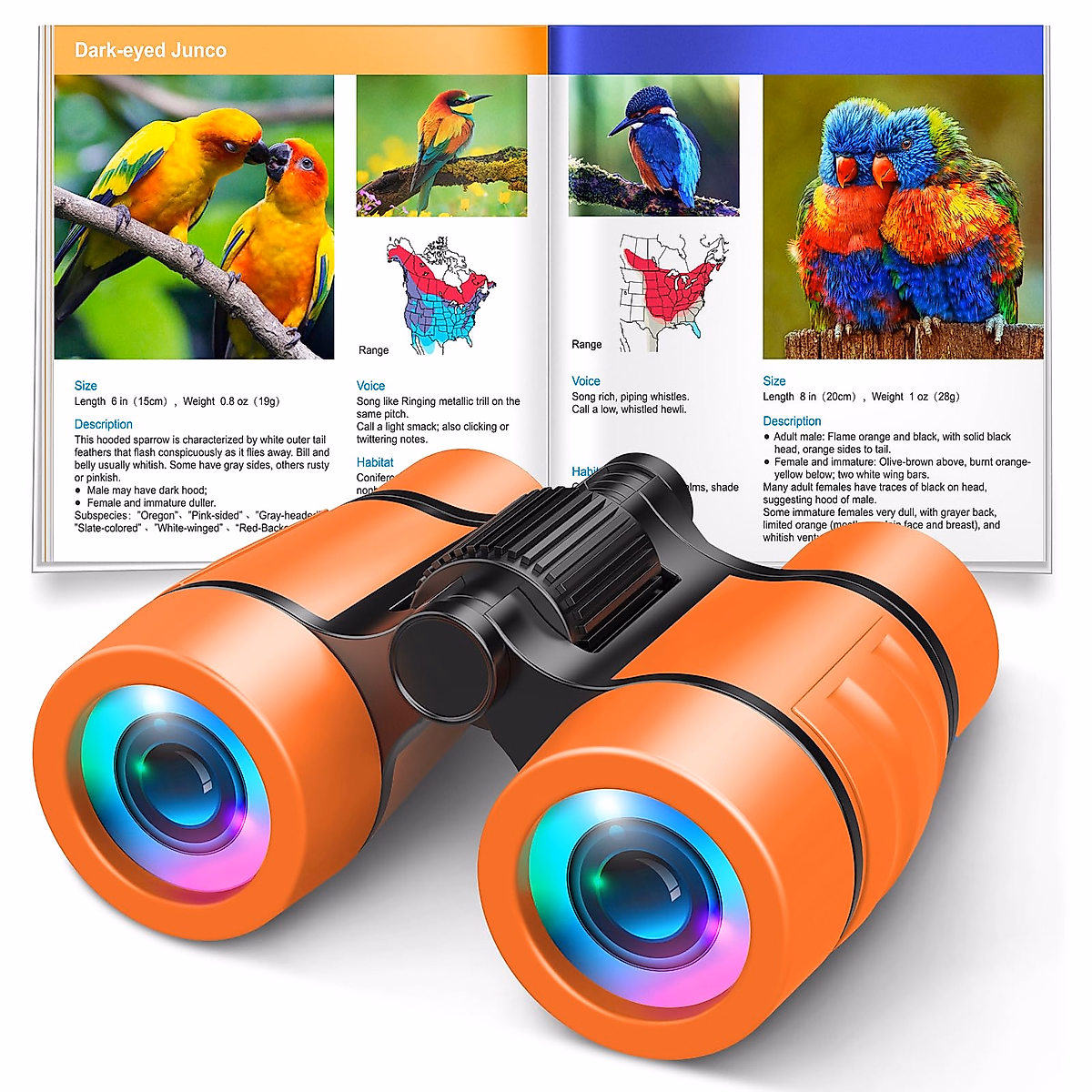 LET'S GO! 3-8 Year Old Boy Girl Toys: Shockproof Binoculars for Kids Bird Watching Camping Hiking, 3 4 5 6 7 Year Old Boys Girls Toddler Outdoor Toy Travel Binoculars for Kid Ages 4-7