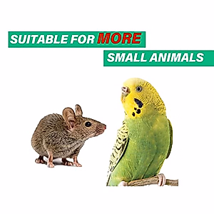 Bird Ladder, Hosrnovo Wooden Green Parakeets Toys, 12.6Inch Bird Perches, Pet Cage Accessories for Cockatiels Budgie Conure Lovebirds Canary Hamster