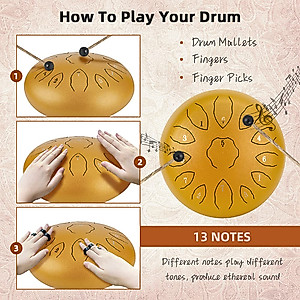 Steel Tongue Drum Instrument, Hantop 12 Inches 13 Notes Percussion Instrument Kit Tank Drum C Key with Accessory Box, Bag, Music Book and Mallets for Meditation Musical Education Mind Healing Yoga