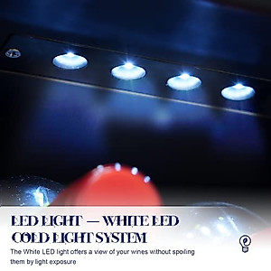 Kalamera Mini Fridge Wine Cooler, 24 Bottle Compressor Freestanding Wine Refrigerator - Single Zone with Stainless Steel Glass Door for Home, Office, Bar, 41°F to 64°F, Drink Fridge.