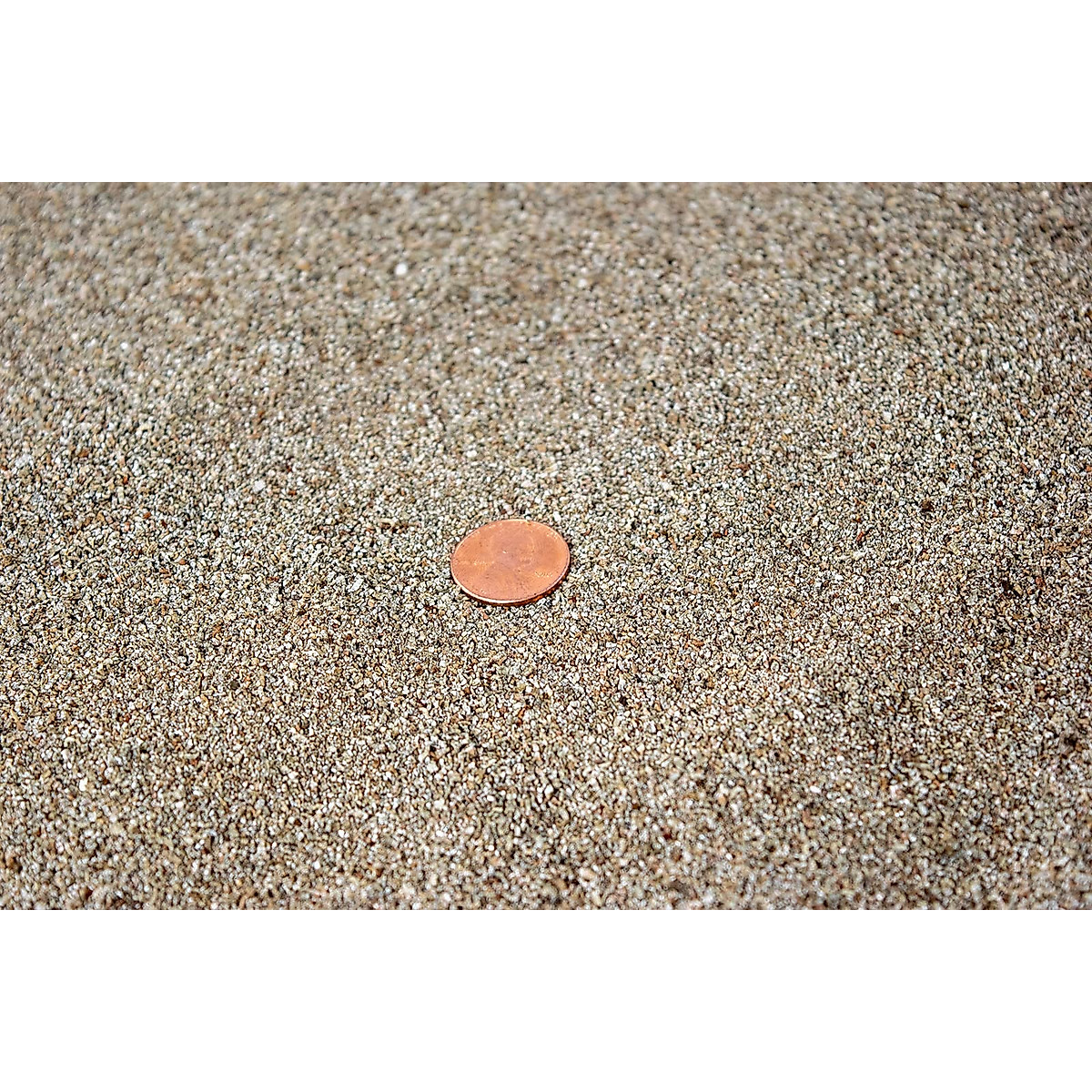 Calibonsai 1 Quart Fine Vermiculite for Seed Starting, Cuttings, Cactus & Succulent Soil Amendment, 1QFIVERMI