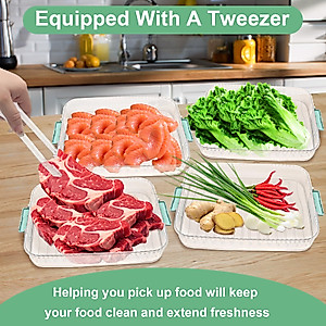Food Storage Containers, Deli Meat Container for Fridge with Tong Cookie Containers with Lids Airtight Dumplings Freezer Containers for Deli Meat, Seafood, Dumplings, Cheese and Cookies (4 layer)