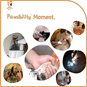 Pawsibility - Reinvented Pet Nail Clippers for Your Pal - Ultra Bright LED Light for Bloodline | Razor Sharp and Durable Blade | Vets Recommended Trimming Tool for Dogs and Cats