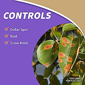 Captain Jack's 2613 5-in-1 Weed Killer, 16-oz. Concentrate - Quantity 1