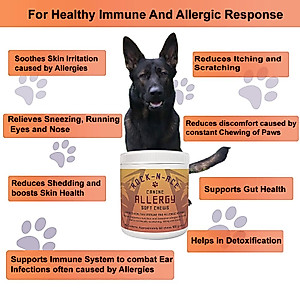 Rock-N-Ace Canine Soft Allergy Chews for Dogs - 60 Count - Premium Ingredients, Made in USA - Vet Recommended - Helps Combat Allergies & Immune Issues