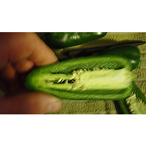 Giant Jalapeno Pepper Seeds Huge PODS Great Stuffers MILD (25 Seeds)