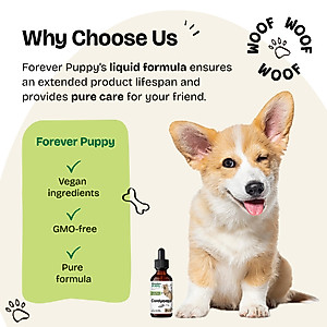 Cordyceps Tincture for Dogs - Mushroom Energy Supplements - Cordyceps Sinensis Liquid Drops for Kidney Detox & Cleanse - Dog Food Supplements for Pet Energy Support & Kidney Wellness - 2 oz