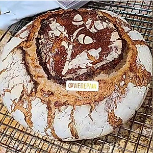 Vie De Pain- Sourdough Bread Baking Kit! Beautiful Sourdough Starter Jar, Sourdough Crock with Thick Artisan Bread Stencils to make the Perfect Sourdough Bread! Premium Quality for Bread Enthusiasts!