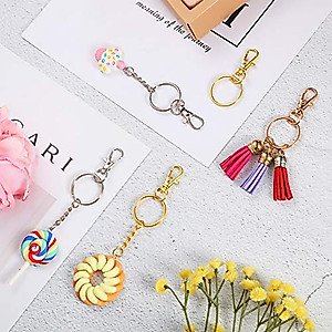 100 Pieces Swivel Clasps Set 50 Piece Lanyard Snap Hooks with 50 Piece Key Chain Rings, Lobster Clasp Keychain Hooks Key Chain Clip Hooks Lobster Claw Clasps for Keychain Jewelry DIY (Multicolored)