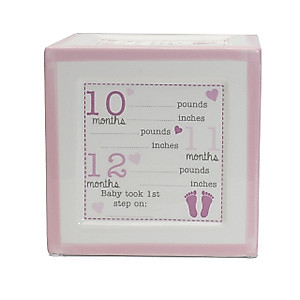 Child to Cherish New Baby Keepsake Piggy Bank, A Block to Grow On, Pink