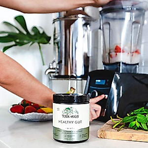 TERRA ORIGIN Healthy Gut Peach Banana | 30-Servings with L-Glutamine, Zinc, Glucosamine, Slippery Elm Bark, Marshmallow Root and More!