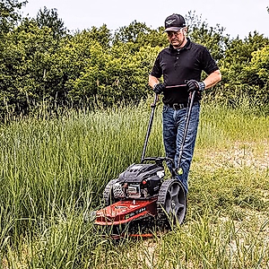 Earthquake Walk Behind String Mower With 160cc Viper 4-Cycle Engine, 22” Cutting Diameter, 14” Never-Go-Flat Wheels, Easy Assembly, Adjustable Handlebar, Model # 40314