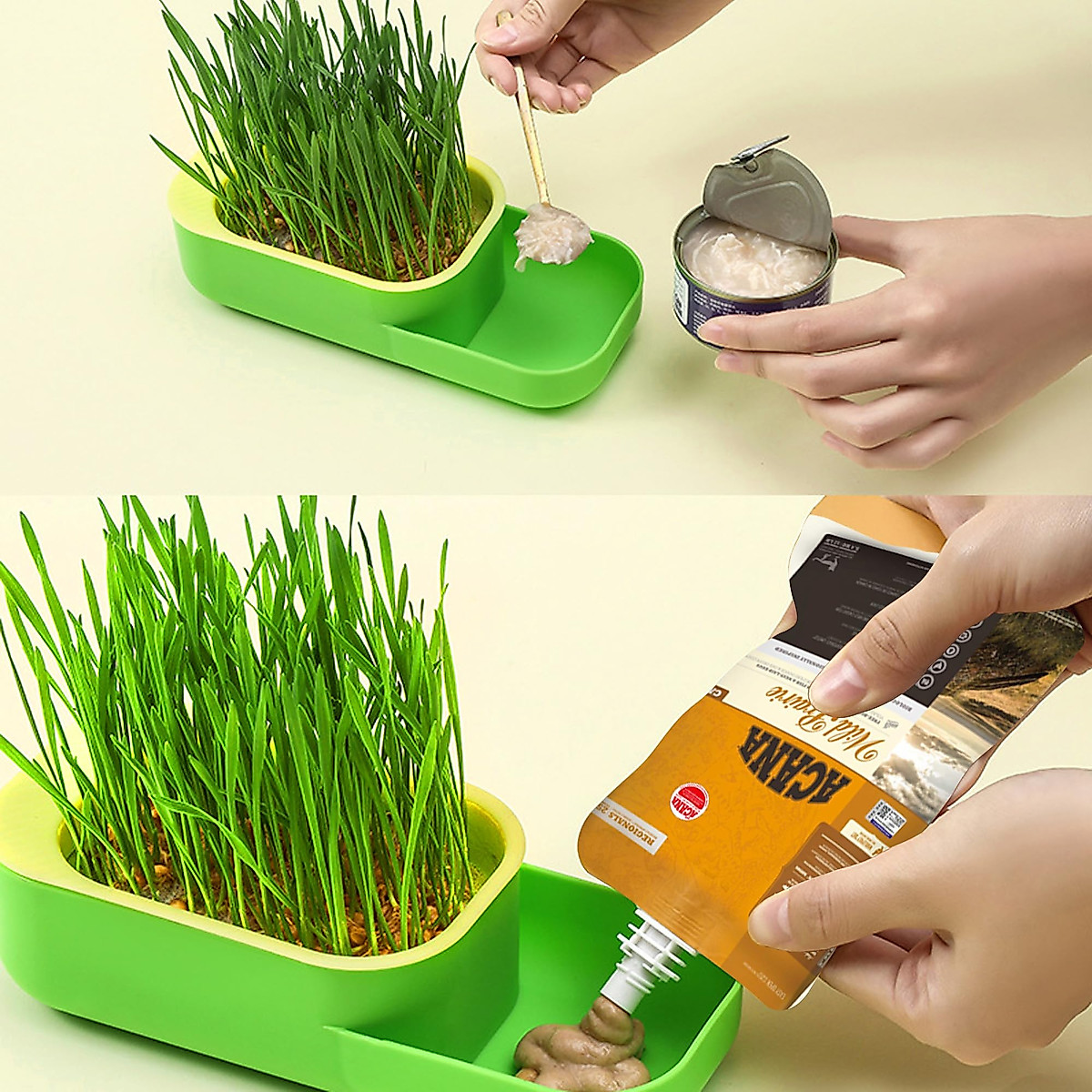 Sozize 2Pcs Hydroponic Cat Grass Planter Wheat Cat Grass Kit Soil Free Seed Sprouting Tray for Cat Grass Indoor Cats (no Seeds Included)