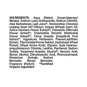 Jason Kids Only Extra Gentle Shampoo, 17.5 Oz