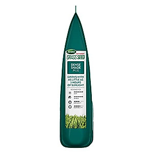 Scotts Turf Builder Grass Seed Dense Shade Mix with Fertilizer and Soil Improver, Grows With Little Sunlight, 2.4 lbs.