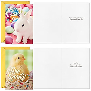 Hallmark Easter Cards Assortment, Bunnies and Chicks (16 Cards with Envelopes)
