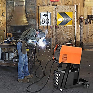 ReunionG Welder Cart with 2 Safety Chains MIG TIG ARC Plasma Cutter Tank Storage, 100 Lb Capacity, Portable 4-Drawer Cabinet