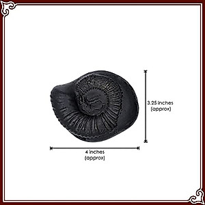 Vedic Vaani Sacred Varaha Lakshmi Laxmi Shankhu Shaligram Shila (Pack of 4)