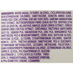 L'ANZA Healing Smooth Glossifying Conditioner, Nourishes, Repairs, and Boosts Hair Shine and Strength for a Perfect Silky-Smooth, Frizz-free Look (8.5 Fl Oz)