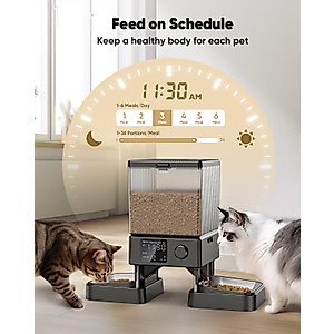 oneisall Automatic Cat Feeder for 2 Cats, 20 Cups/5L Automatic Cat Food Dispenser for Small Pets Indoor, Timed Cat Feeder for Dry Food