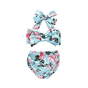 Cute Baby Girls 2Pcs Bikini Bathing Swimsuit Halter Tube Top+Floral Bottom Summer Sunsuit (Floral, 0-6Months)