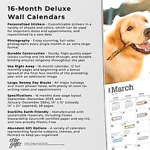 The Beauty of Golden Retrievers | 2024 14 x 24 Inch Monthly Deluxe Wall Calendar | Sticker Sheet | StarGifts | Animal Dog Breeds