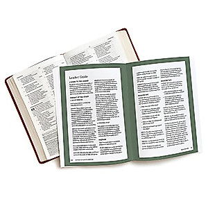 In View of God's Mercies - Bible Study Book with Video Access: The Gift of the Gospel in Romans