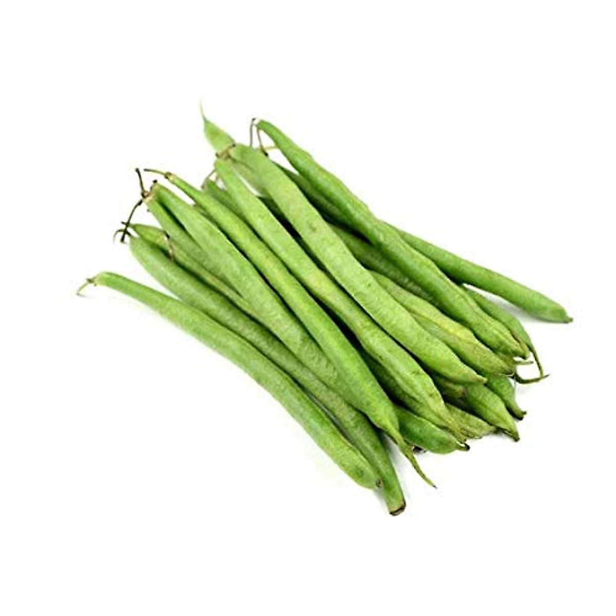 Burpee Stringless Green Bean Seeds for Planting, 50+ Heirloom Seeds Per Packet, (Isla's Garden Seeds), Non GMO Seeds, Botanical Name: Phaseolus vulgaris, 85% Germination Rates, Great Home Garden Gift