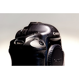 Canon EOS-1Ds 11.1MP Digital SLR Camera (Body Only)