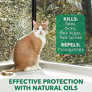 Hartz Nature’s Shield Flea & Tick Spray Treatment for Cats, Natural and Effective Flea & Tick Prevention and Protection for Dogs with Cedarwood and Lemongrass Oil, 14 Ounces