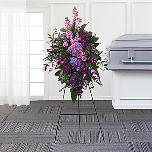 FloraCraft Floral Cage Arranger with Floral WetFōM 3.75 Inch x 7 Inch x 12.75 Inch Green