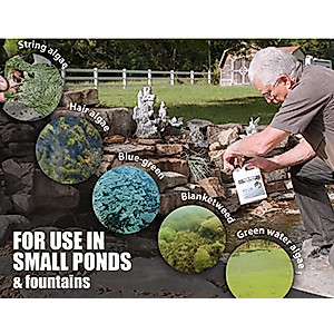 Bloom Buster Pond Algae Control - 16oz - Fast Acting Algaecide, Use in Fountains & Outdoor Ponds Containing Koi & Other Fish - EPA Registered
