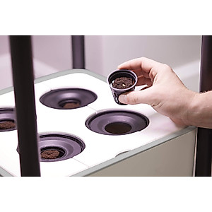 Miracle-Gro Twelve Indoor Growing System, Side Table with LED Grow Light for Year Round Gardening, Planter For Leafy Greens, Herbs & Flowers