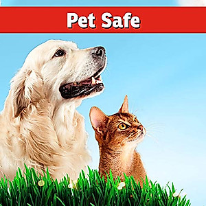 I Must Garden Deer Repellent Special [32oz Concentrate + 32oz Ready-to-Use Spray] - Natural Mint Scent