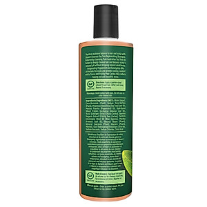 Desert Essence Tea Tree Replenishing Shampoo and Conditioner Bundle - 12.7 Fl Ounce - Therapeutic - Peppermint & Yucca - All Skin Types - Tea Tree Oil - Restore & Nurture Hair
