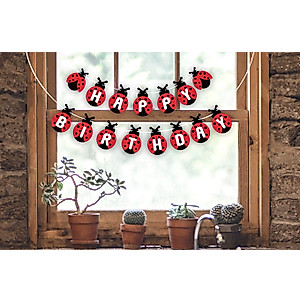 Ladybug Birthday Banner, Cute Ladybird Bday Bunting Sign, Insect Theme Baby Shower Decorations