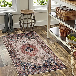 Falflor Area Rug 2'x 3' Vintage Distressed Entryway Rug Non Slip Indoor Door Mat Washable Throw Rug for Bedroom Low Pile Kitchen Floor Mat for Living Room Bathroom Laundry