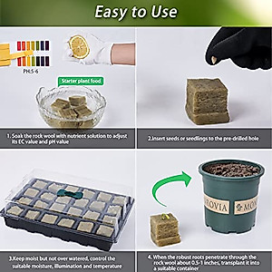 Future Way 1.5" Rockwool Cubes with Holes, Starter Plugs for Hydroponics, Easy to Transplant and Cut by Scissors, 4 Sheets of 49 Plugs, 196 Plugs Total