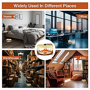 2Pcs Flea Traps for Inside Your Home Flea Bombs for Home Flea Trap Indoor with 4 Sticky Disc&6 LED Bulbs&2 Electric Wires Pet&Kid Safe,Odorless Flea Catcher Sticky Bed Bug Trap for Home (Yellow)