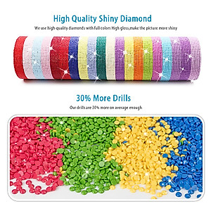 4 Pack 5D Diamond Painting for Adults DIY Angel Diamond Painting Full Drill Round Diamond Dots Art Kits for Kids DIY Elves Girl Diamond Art Painting Diamond Pictures Mosaic Sticker Art Kits 12x16In